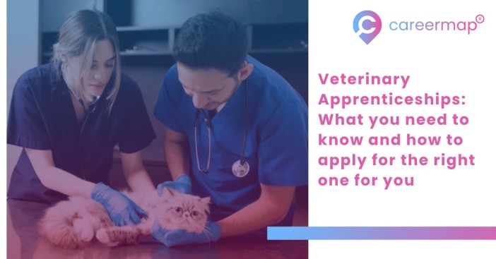 Veterinary Apprenticeships: What you need to know and how to apply for ...