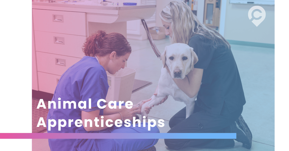 Animal Care Apprenticeships | Careermap